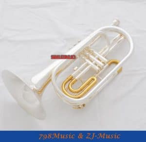 13 Different Types of Trombones